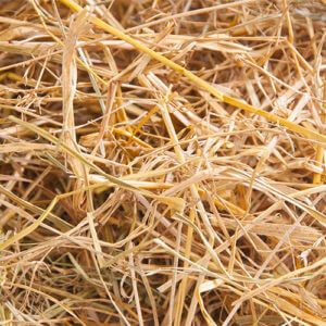 Ruwvoer - Sanders Fourage